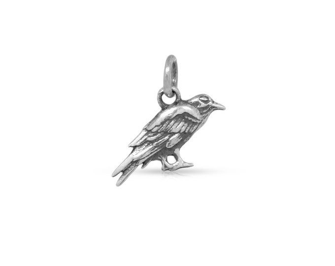 Tiny Raven and God Feeds the Ravens Combo. Sterling Silver - Etsy