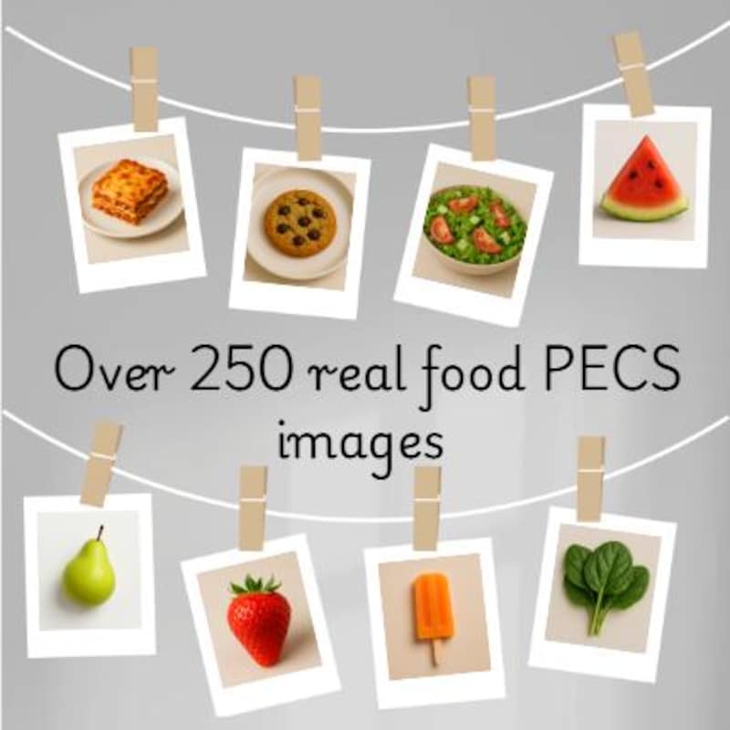 Food Pec Cards - Etsy