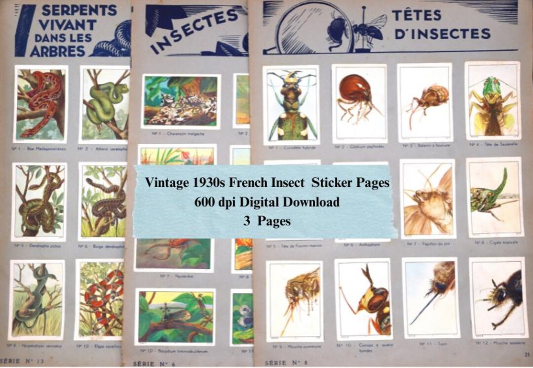 Vintage Printable Ephemera 1930s French Insect/snakes Sticker Pages ...
