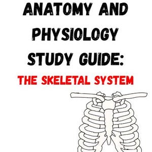 Skeletal System Study Guide – Printable A&P Notes PDF – Human Anatomy ...