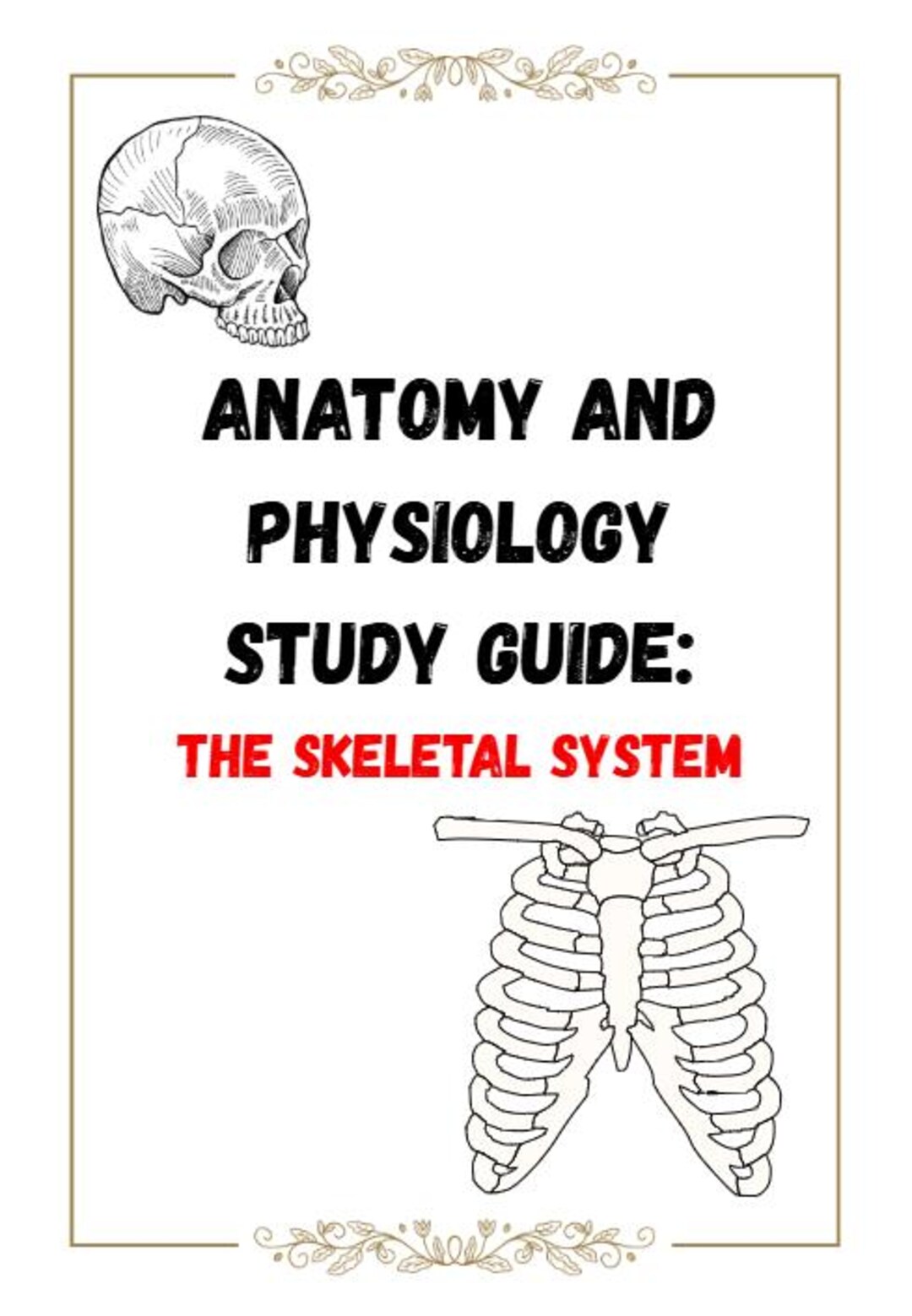 Skeletal System Study Guide – Printable A&P Notes PDF – Human Anatomy ...