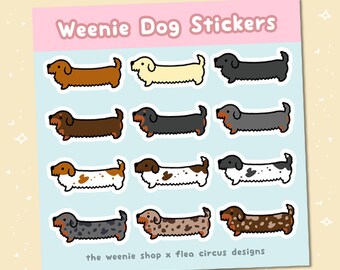 Dachshund Long Coat Matte Vinyl Sticker Weiner Dog Weenie Dog | Etsy