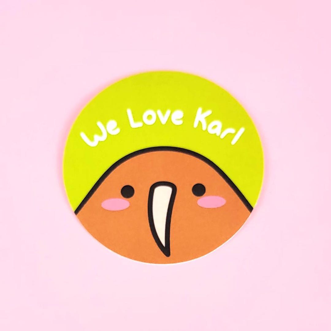 Vinyl Sticker - We Love Karl - Kiwi Bird Stickers Planner Vinyl Bird ...