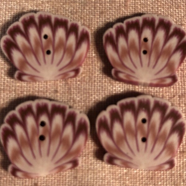 Scallop Shell - Etsy