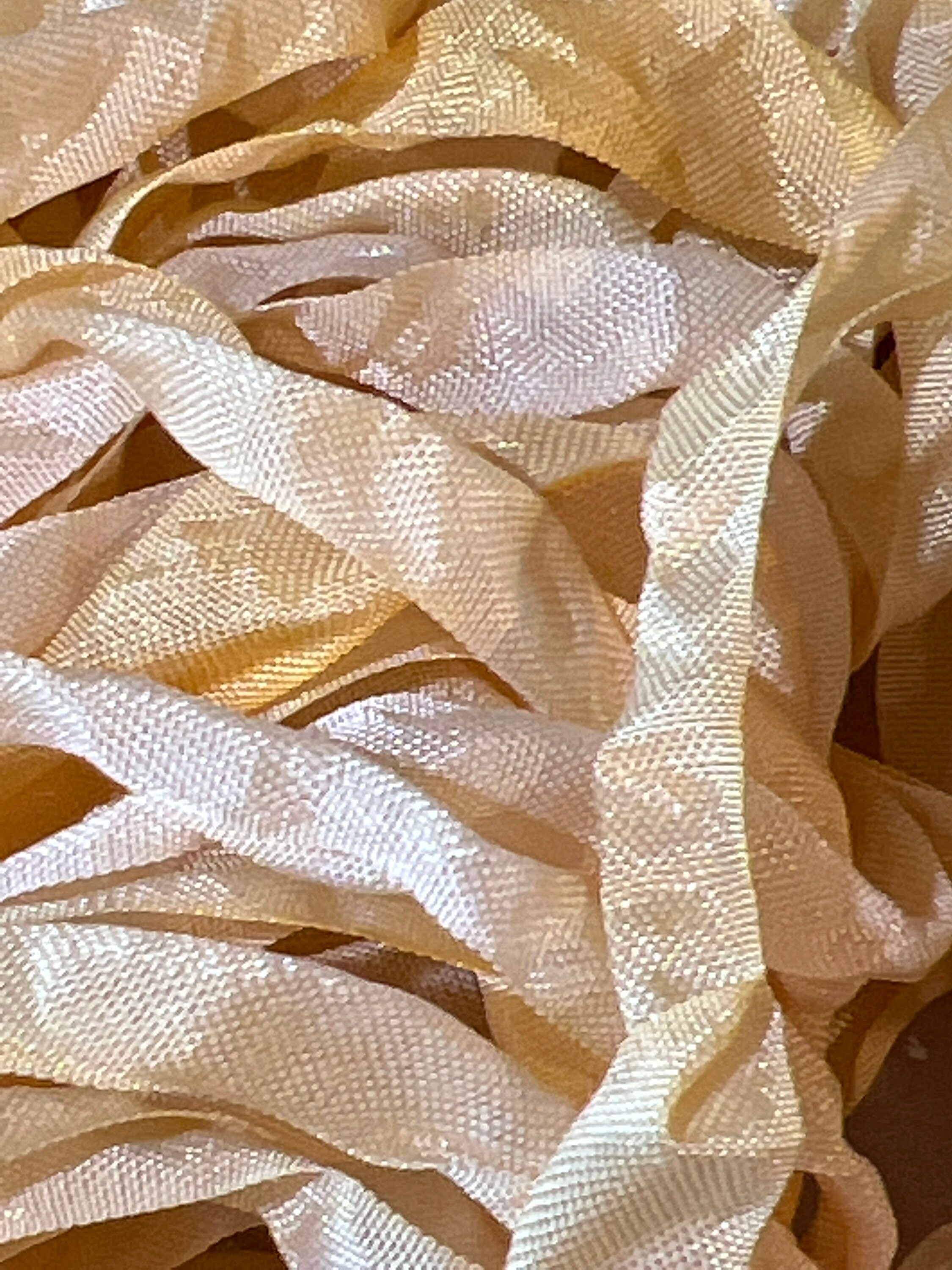 Italian Custard Crinkled Rayon Seam Binding Ribbon 2 Yard Package by ...