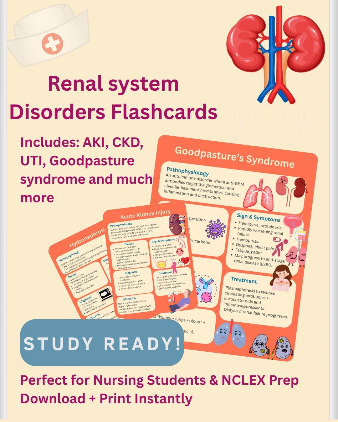 Renal System Med-surg Flashcards: NCLEX Nursing Study Guide (digital ...