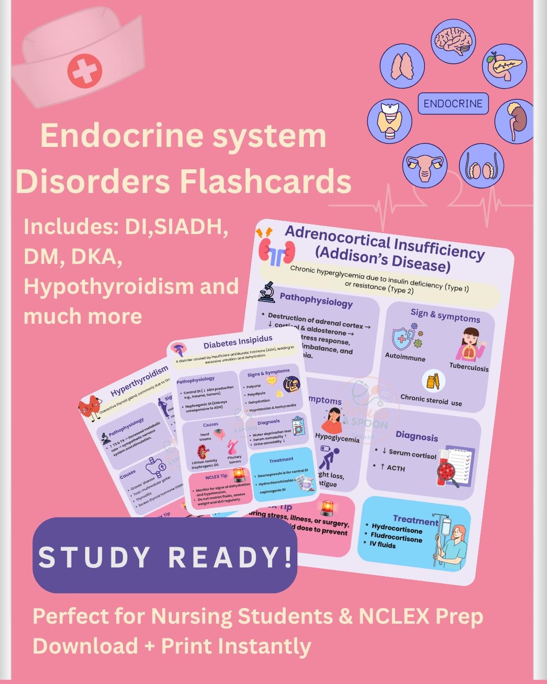 Endocrine System Flashcards: Med-surg NCLEX Study Guide (digital ...