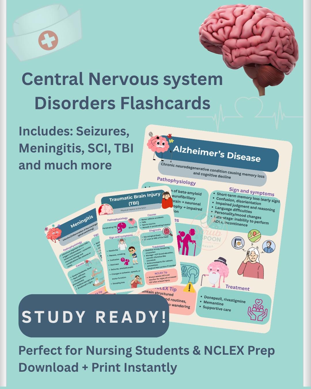 NCLEX Med-surg Flashcards: Central Nervous System Study Guide (digital ...