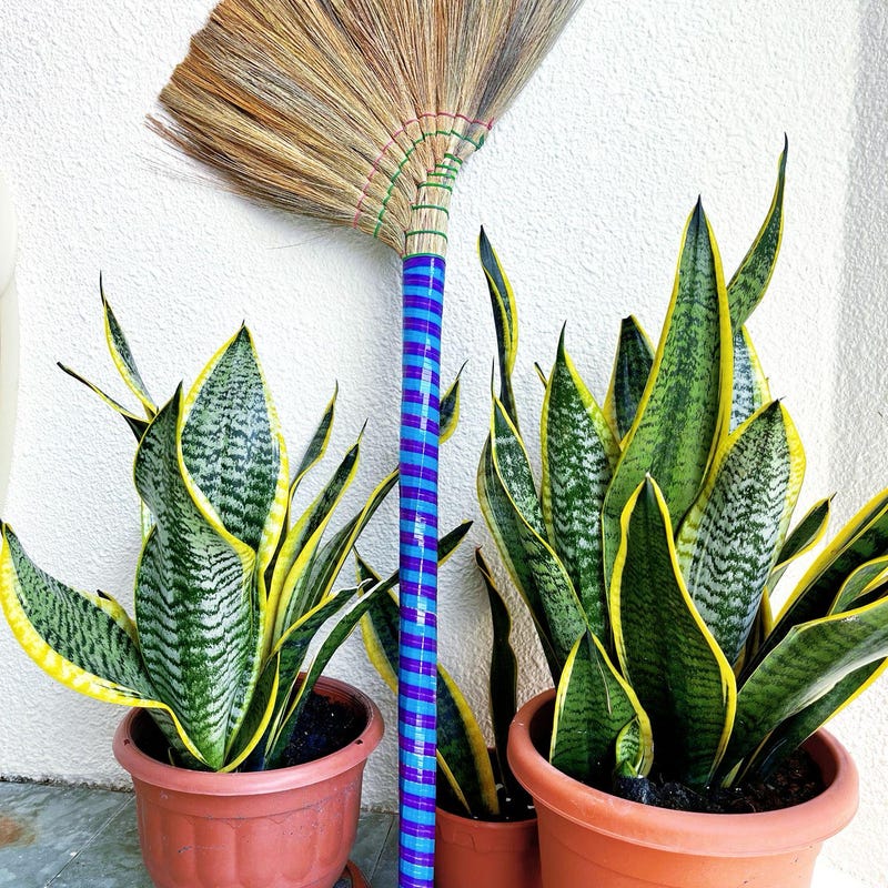 Witch Sweep Broom - Etsy