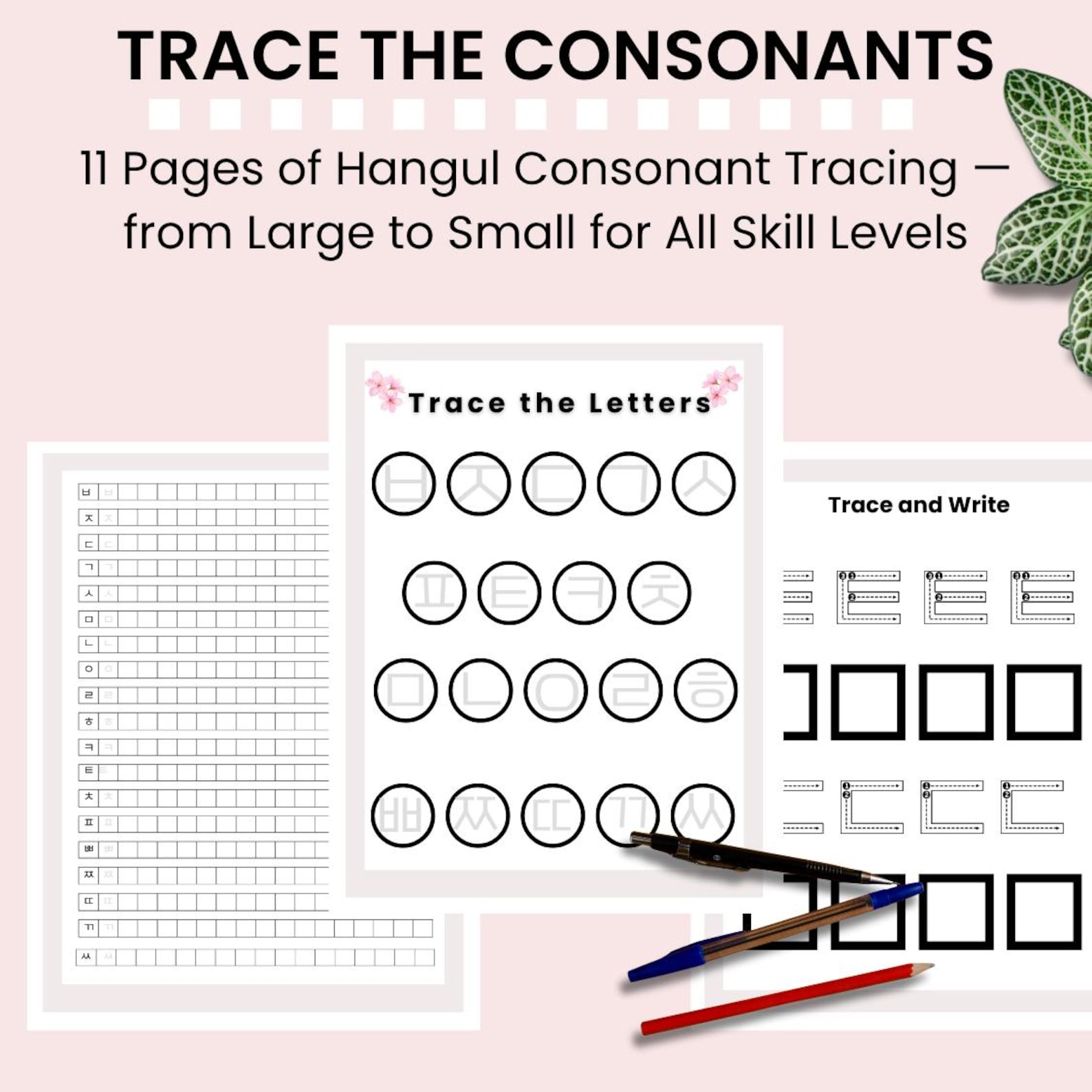 Hangul Consonant Study Pack, Korean Alphabet Coloring, Tracing, and ...