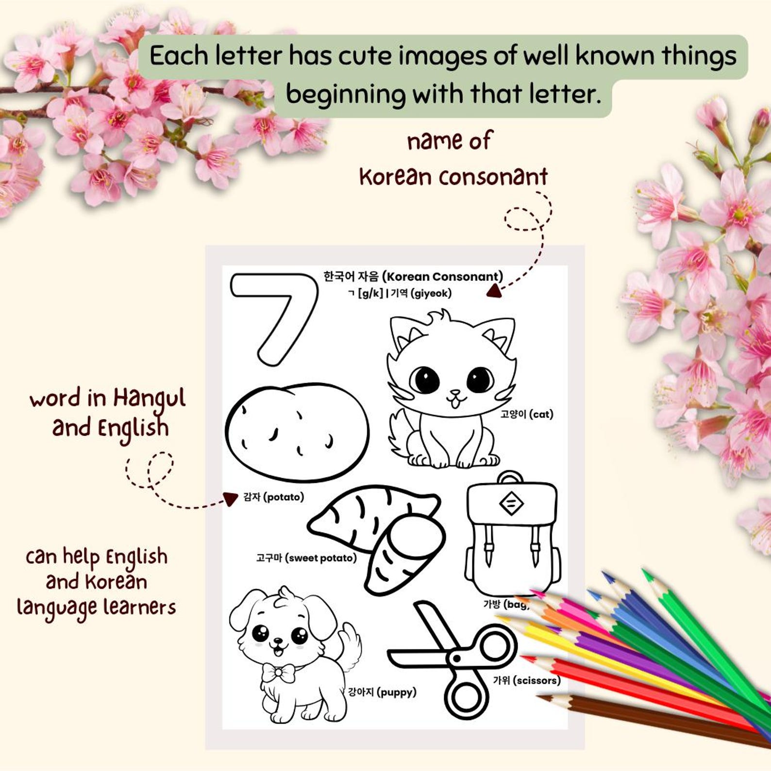 Korean Study Coloring Pages: Learn Hangul (color and Trace Printable ...