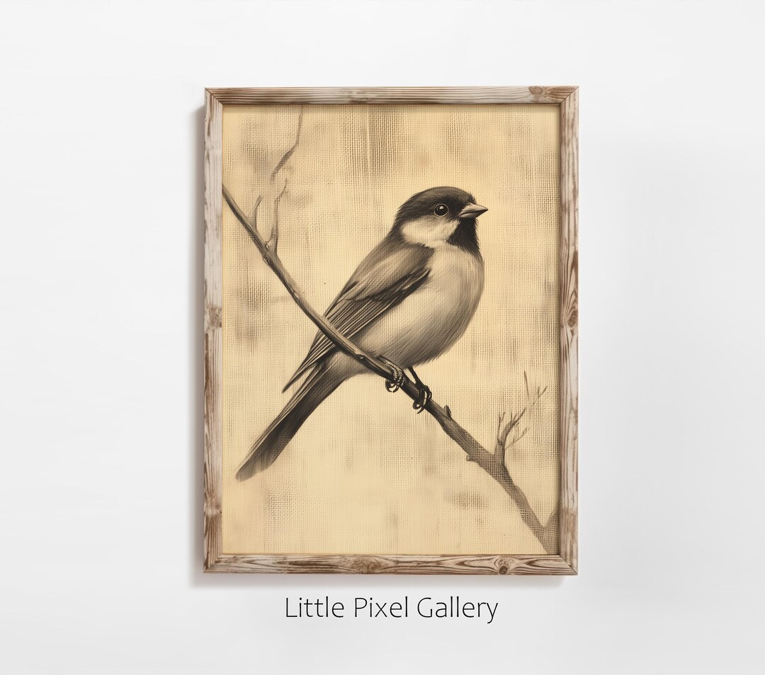 Rustic Sparrow Pencil Sketch - Vintage Farmhouse Bird Art, Neutral ...