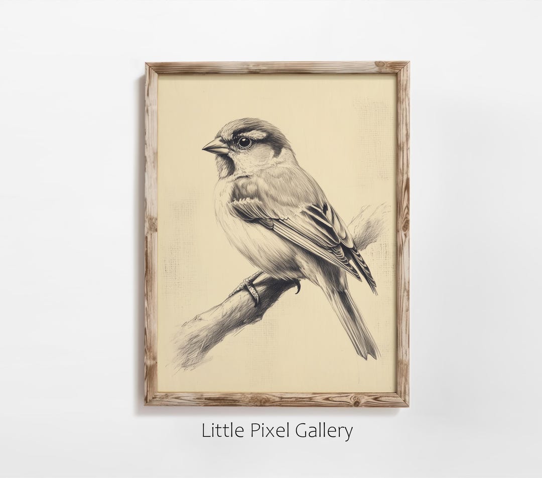 Rustic Sparrow Sketch on Branch - Vintage Farmhouse Bird Art, Pencil ...