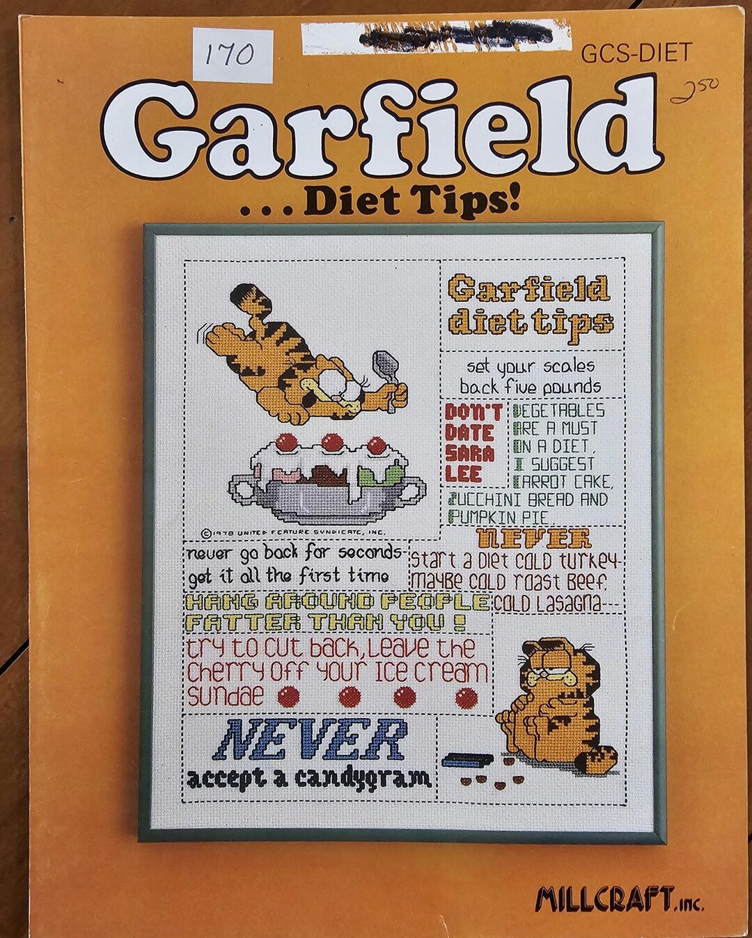 Garfield Diet Tips Cross Stitch Pattern - Etsy