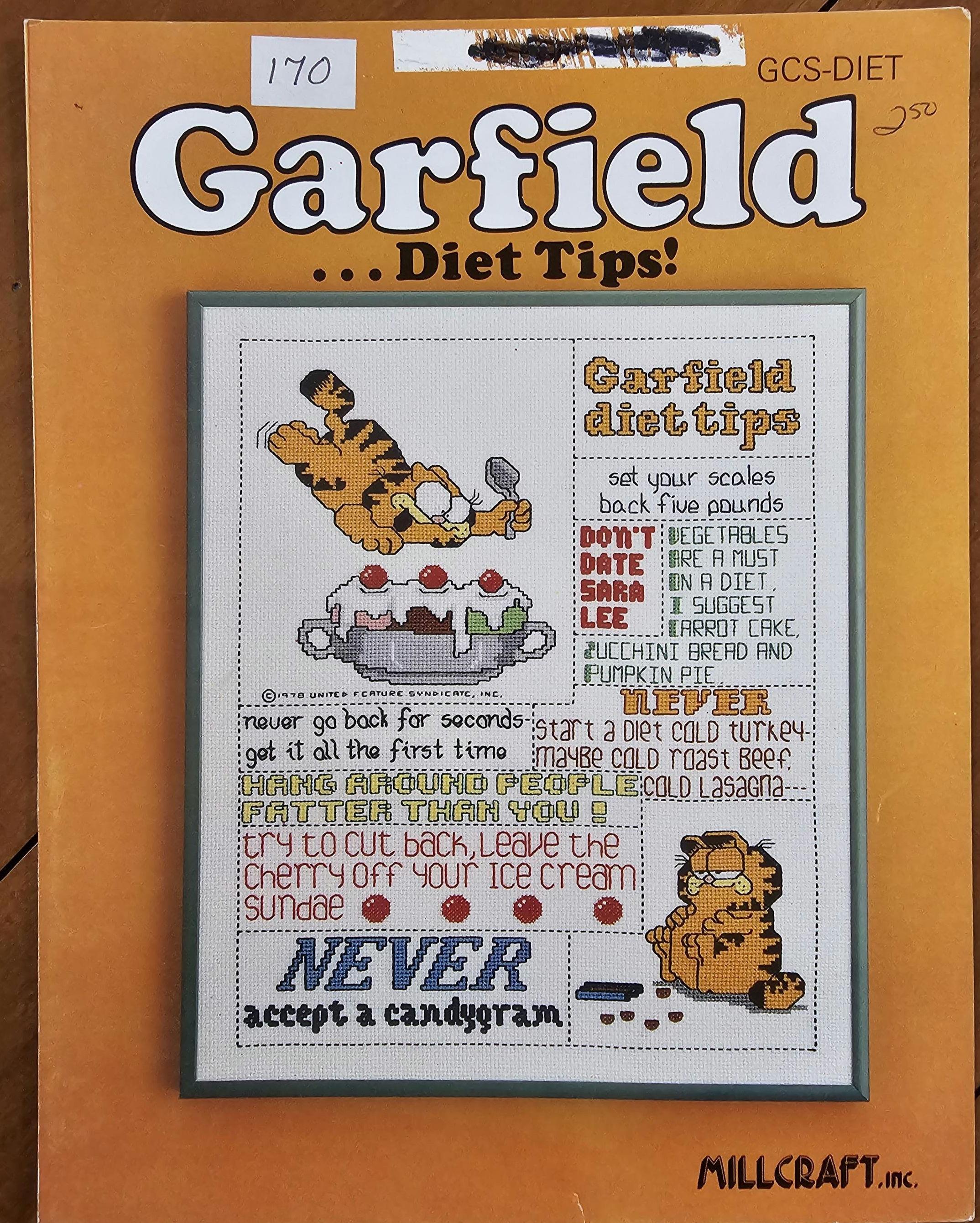 Garfield Diet Tips Cross Stitch Pattern - Etsy