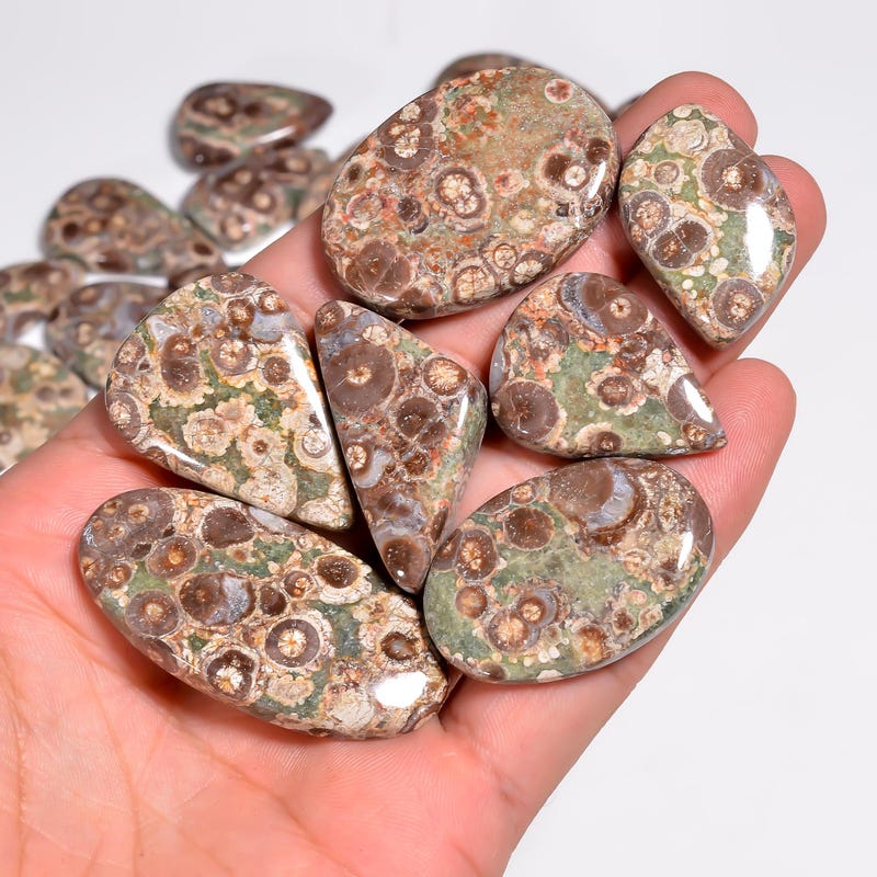 Crocodile Jasper Cabochon - Etsy