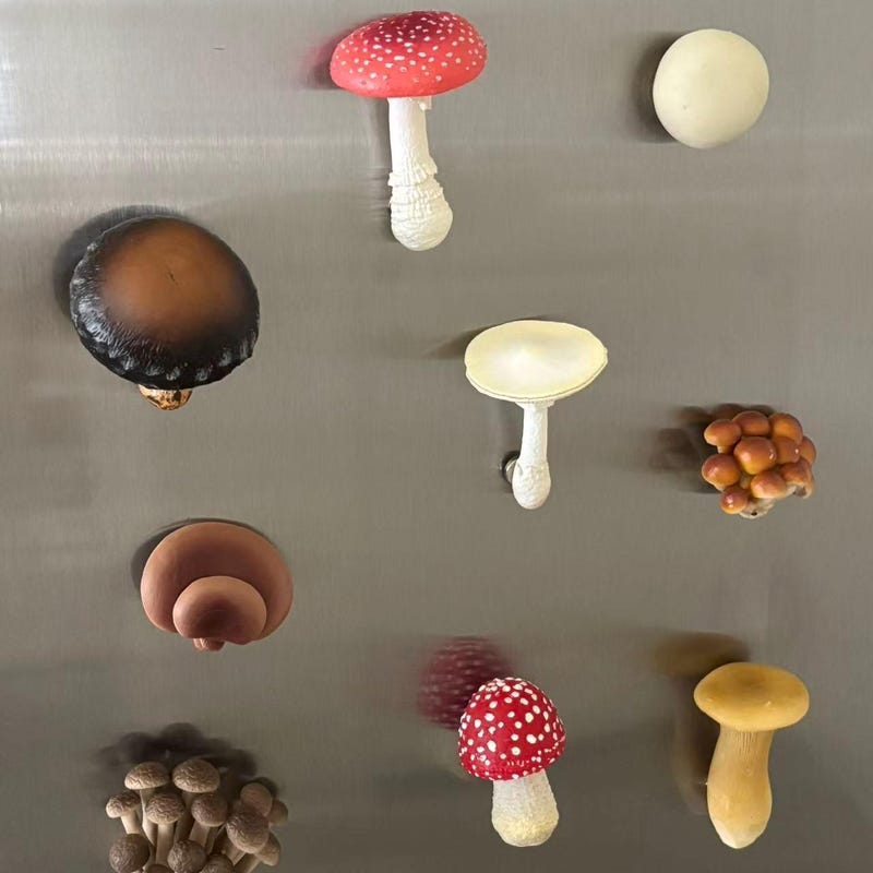 Fridge Magnet Set - Etsy