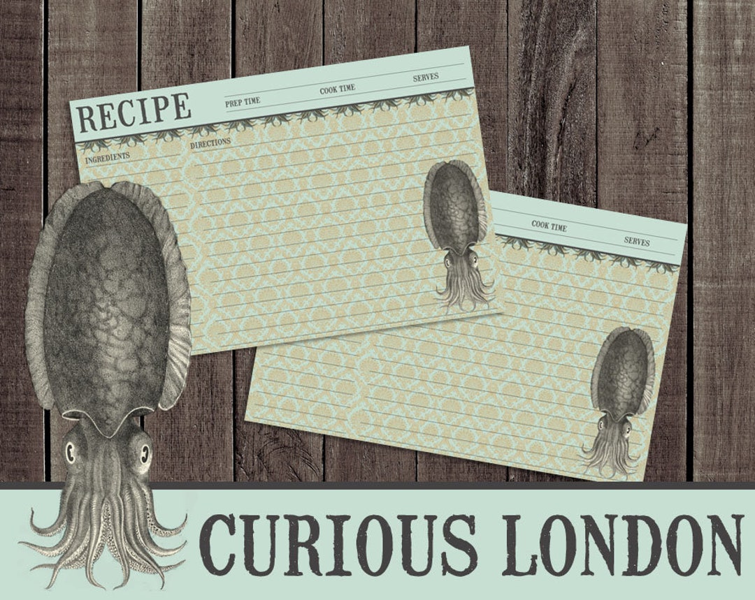 Octopus Cards I Deep Sea Creatures I Recipe Cards I From the Kitchen of ...