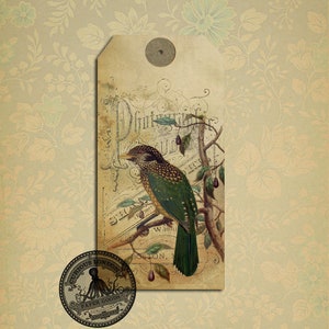 Printable Gift Tags Fancy Bird Tags French Ephemera Instant Download to ...