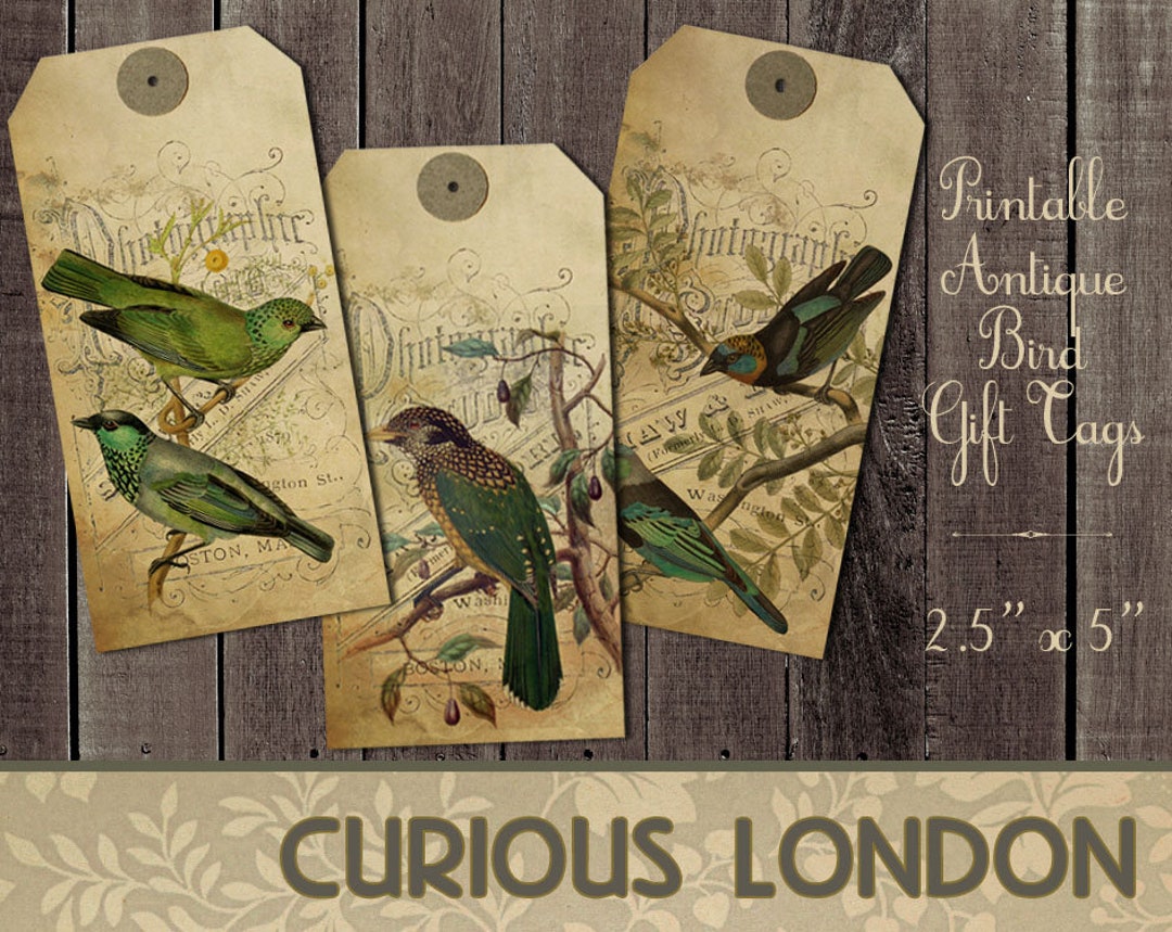Printable Gift Tags Fancy Bird Tags French Ephemera Instant Download to ...