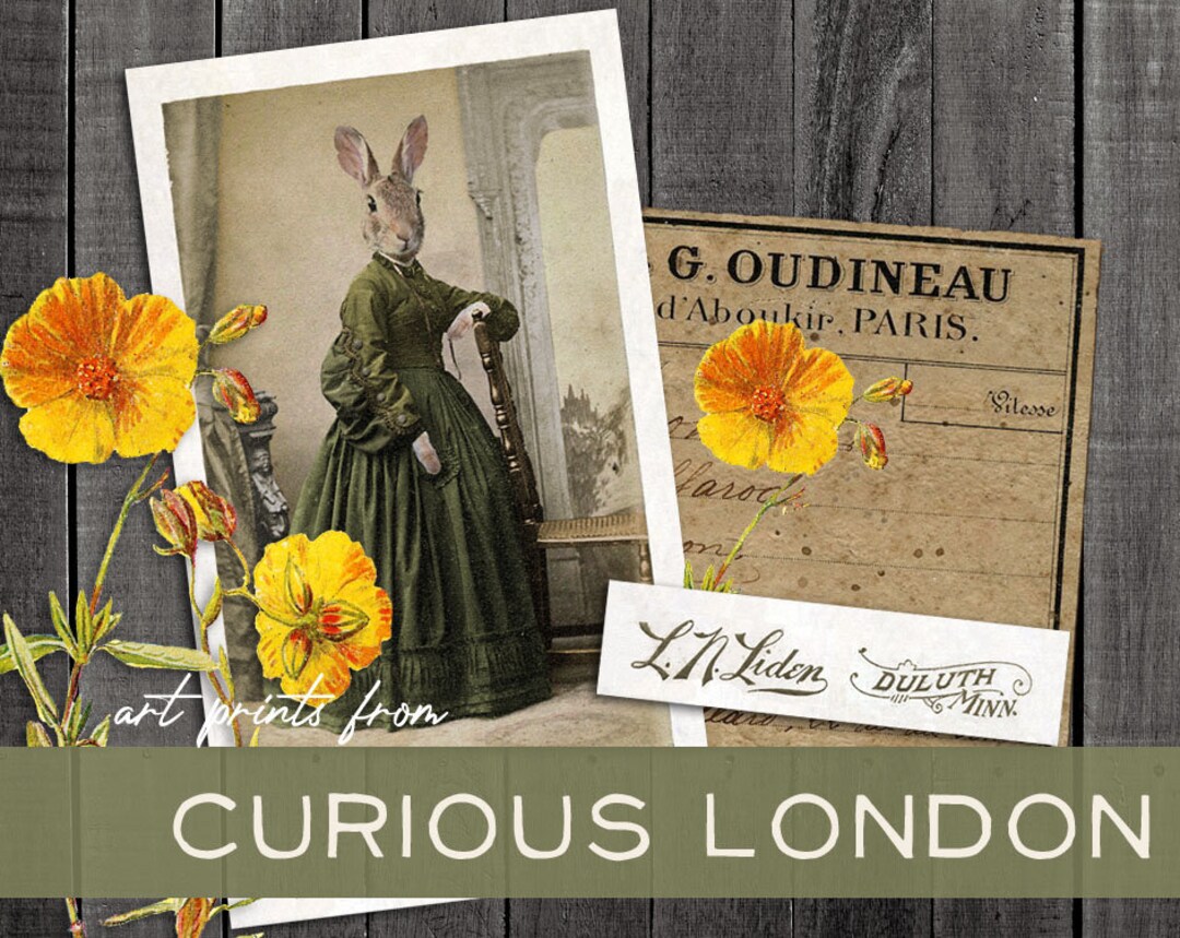 Anthropomorphic Art Fancy Bunny Vintage Rabbit Portrait Altered Art ...