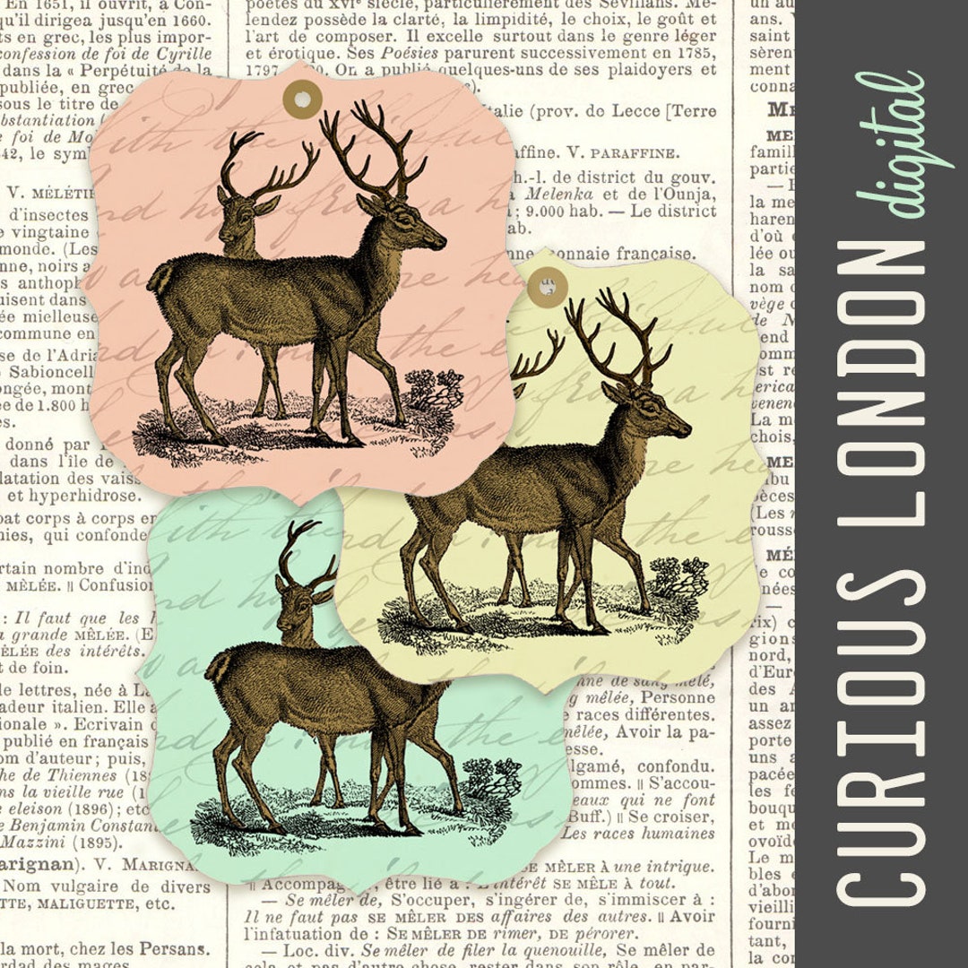 Vintage Deer Gift Tags: Printable Woodland Ephemera (digital Download ...