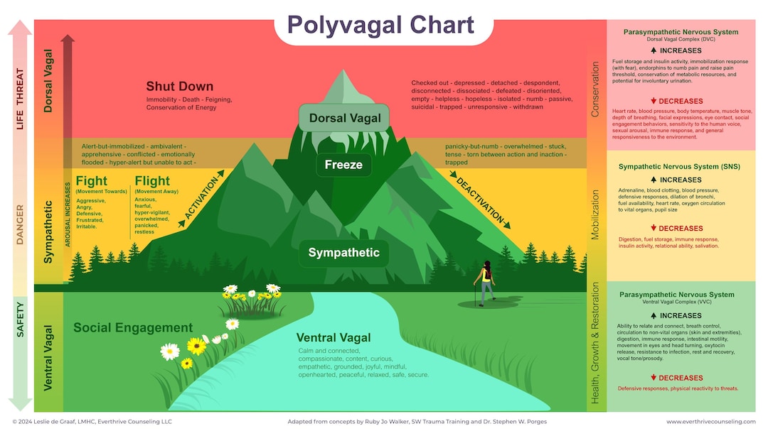 Polyvagal Chart | Nervous System Regulation Poster | Mental Health ...