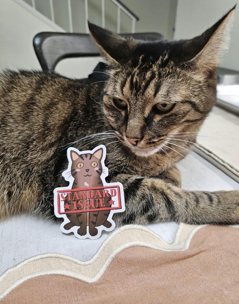 Standard Issue Tabby Cat Sticker - Waterproof Vinyl Decal - Etsy