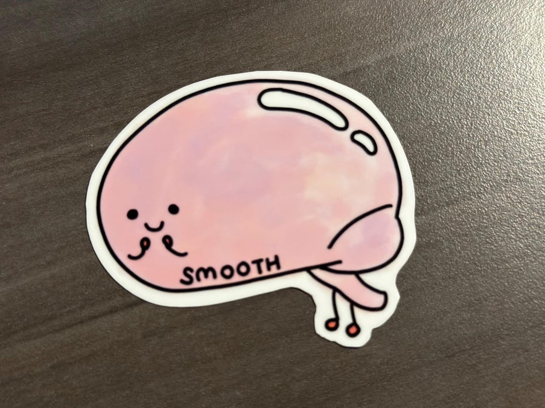 Smooth Brain Sticker – Funny Pink Cartoon Brain Vinyl Sticker | Medical ...