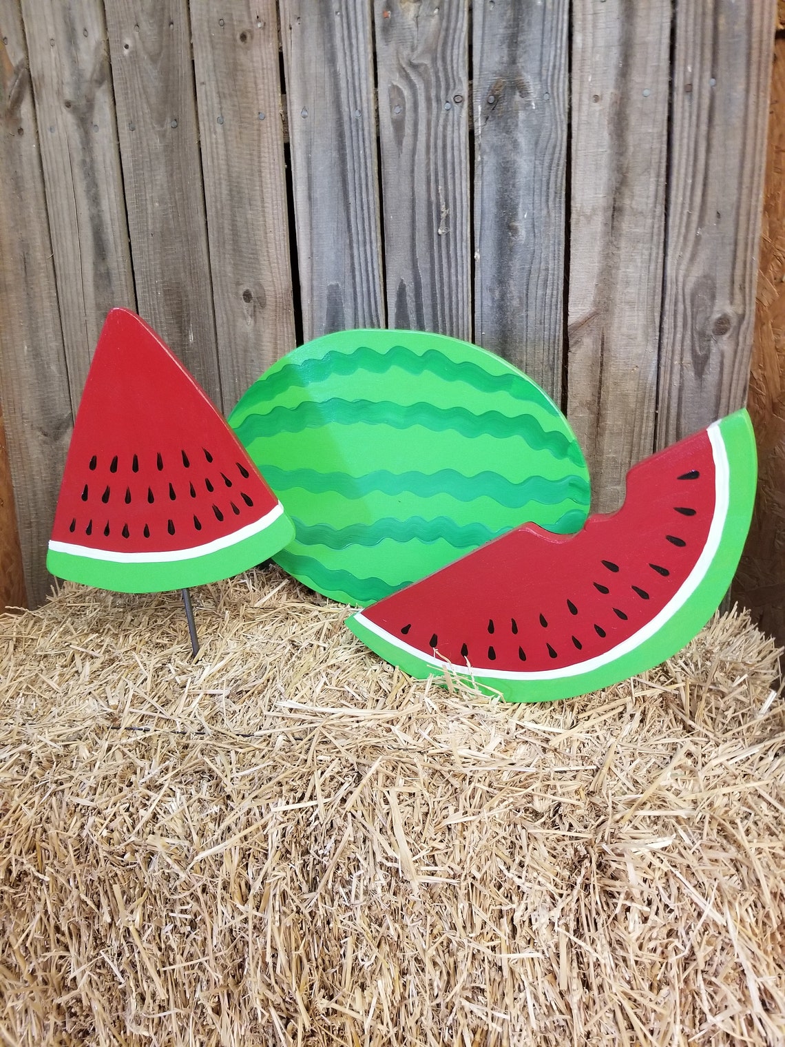 Watermelon Patch 3 Piece Set in Pink or Red | Etsy