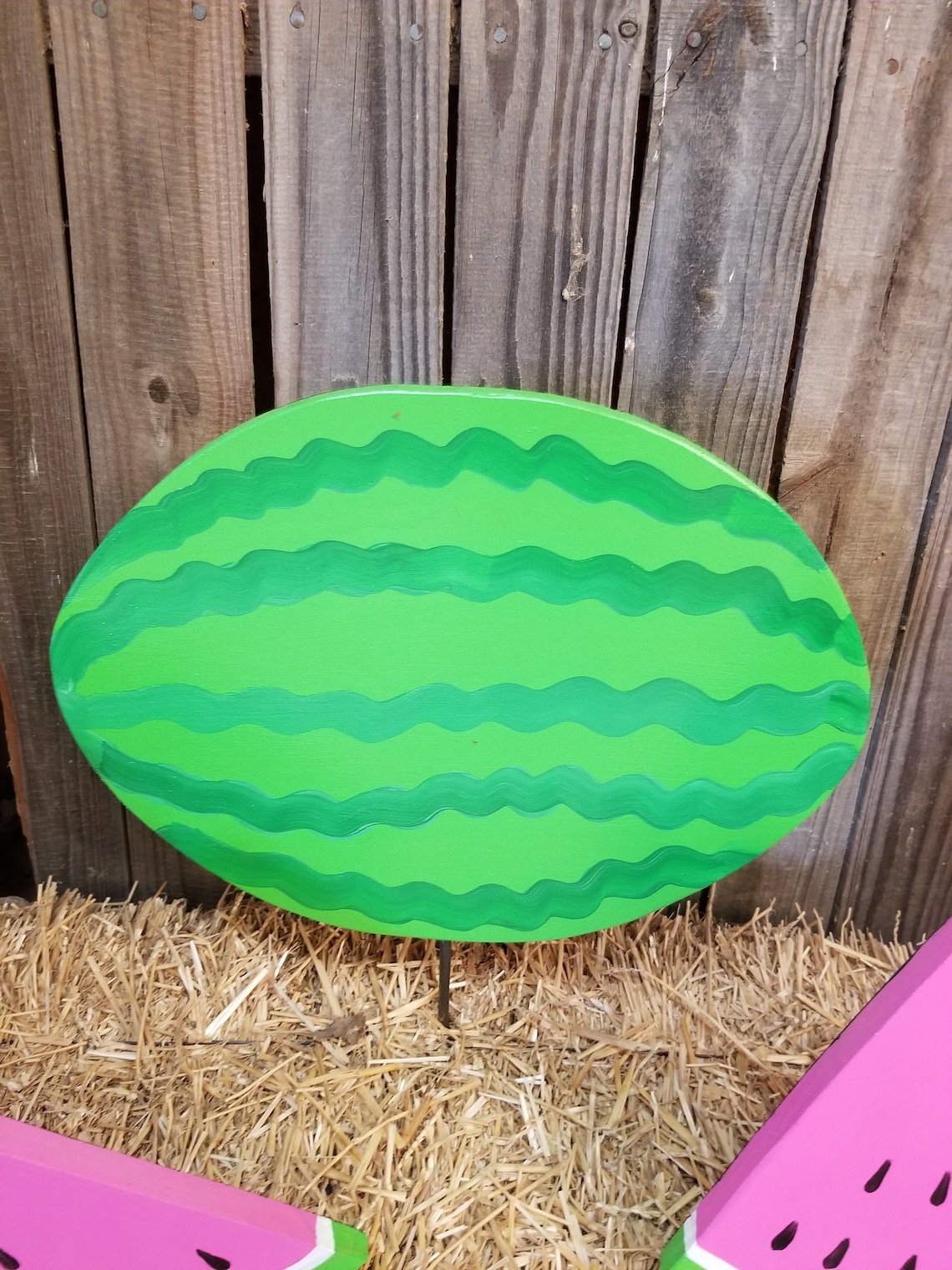 Watermelon Patch 3 Piece Set in Pink or Red | Etsy