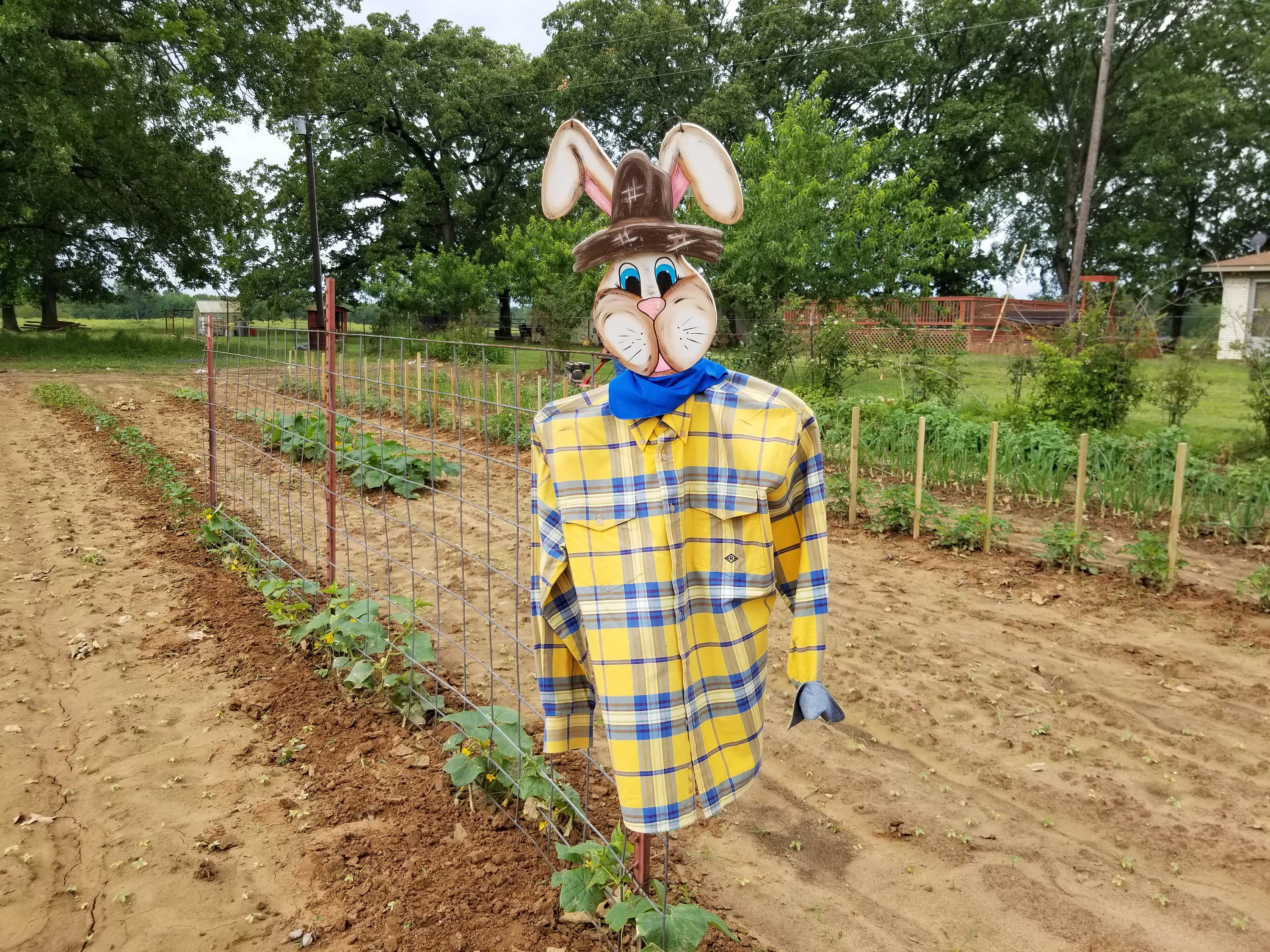 Farmhouse Scarecrow or Bunny Garden Decoration: Fall Harvest Decor ...