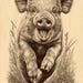 Running Pig Wood Engraving PNG | Happy Farm Animal Line Art | Rustic ...