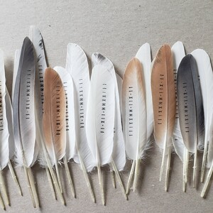 Custom Hat Feather , Personalized Hat Feather , Cowboy Feathers ...