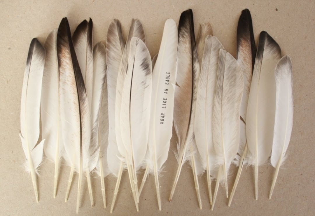 Custom Hat Feather , Personalized Hat Feather , Cowboy Feathers ...