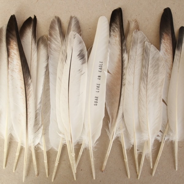 Feather Hat Band - Etsy