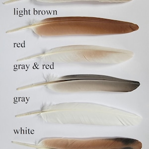 Custom Hat Feather , Personalized Hat Feather , Cowboy Feathers ...