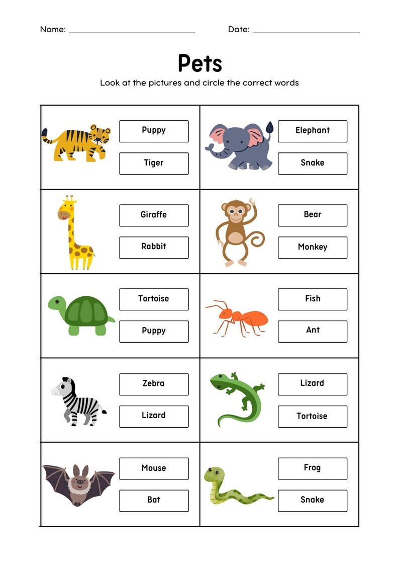 Pets Vocabulary Worksheet - Etsy