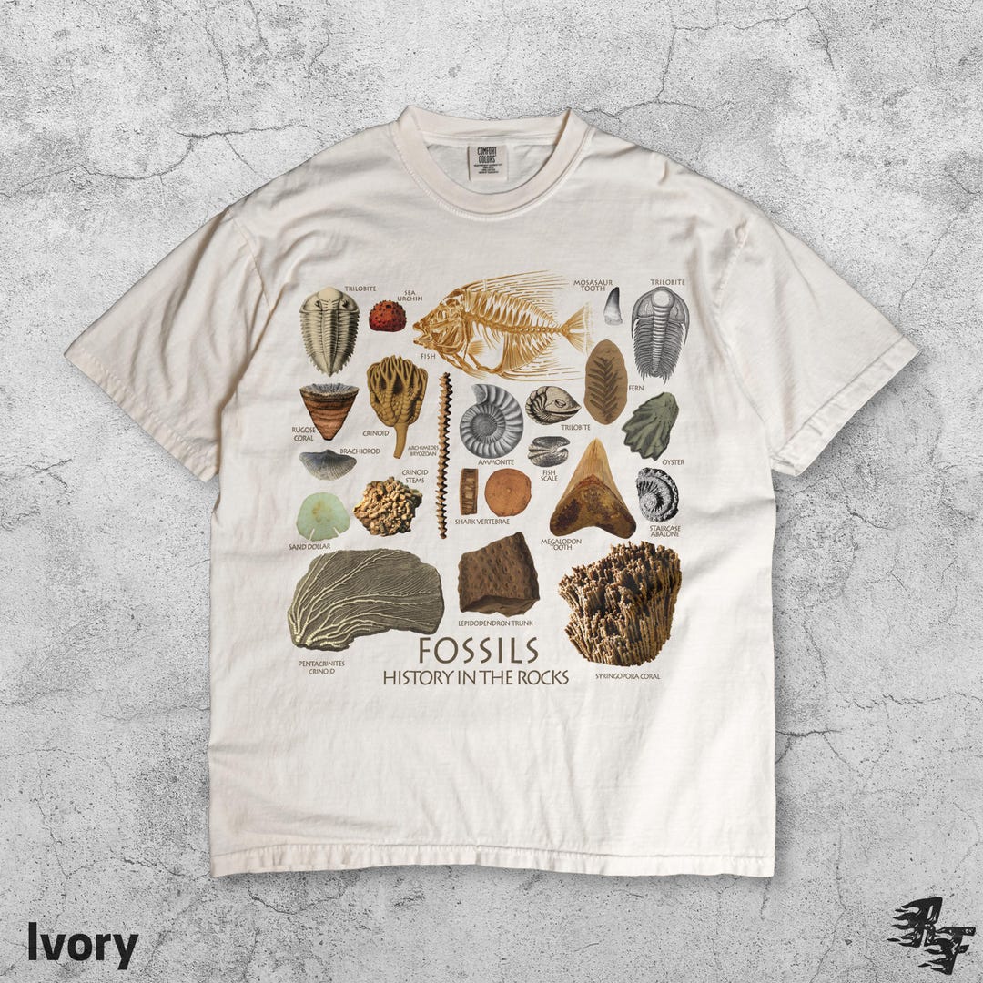 Fossils History Vintage 90s T-shirt, Retro Geology Graphic Tee ...