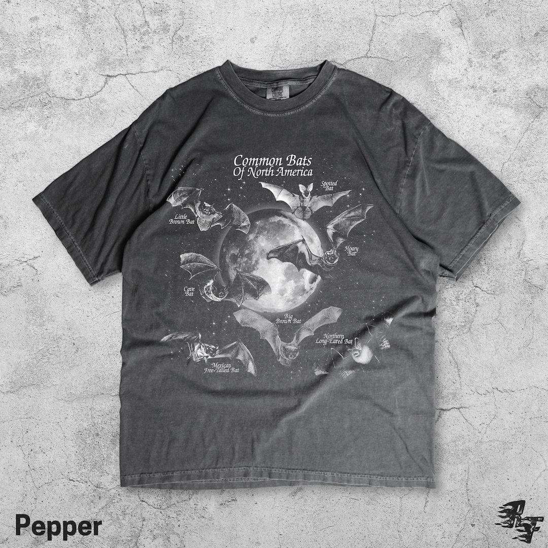 Vintage Bats of North America T-shirt, Retro 90s Moon Wildlife Graphic ...