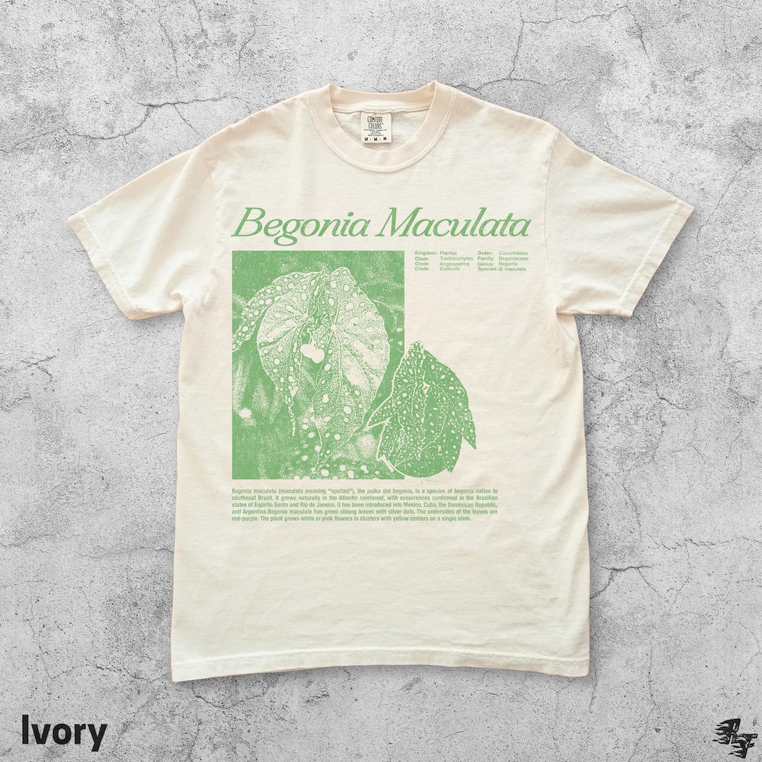 Polka Dot Begonia Maculata T-shirt, Spotted Leaf Houseplant Graphic Tee ...