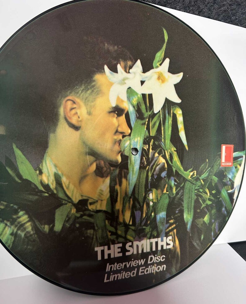 1981 the Smiths - Limited Edition Interview Picture Disc Vinyl LP, Red Door - 1373 - Etsy