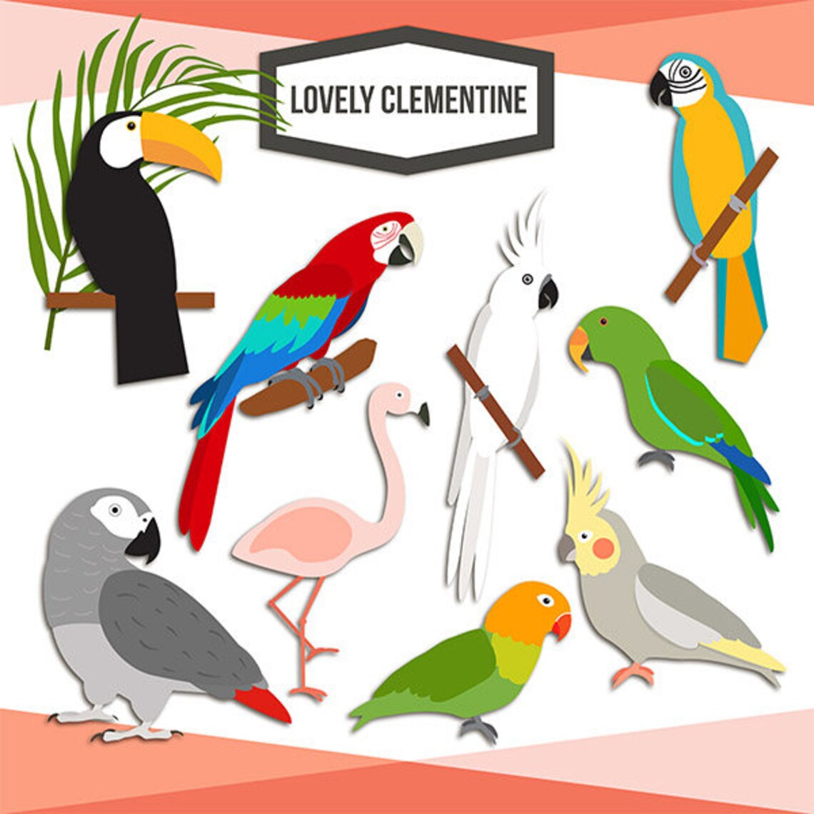 Tropical Birds Clip Art Parrot Clipart Bird Vectors | Etsy Canada