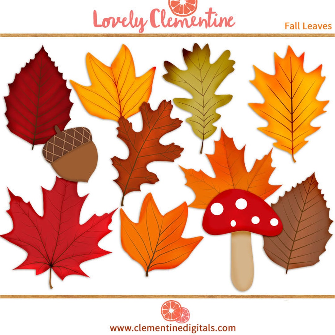 Fall Clipart // Fall Leaves Clip Art // Commercial Use, Instant ...