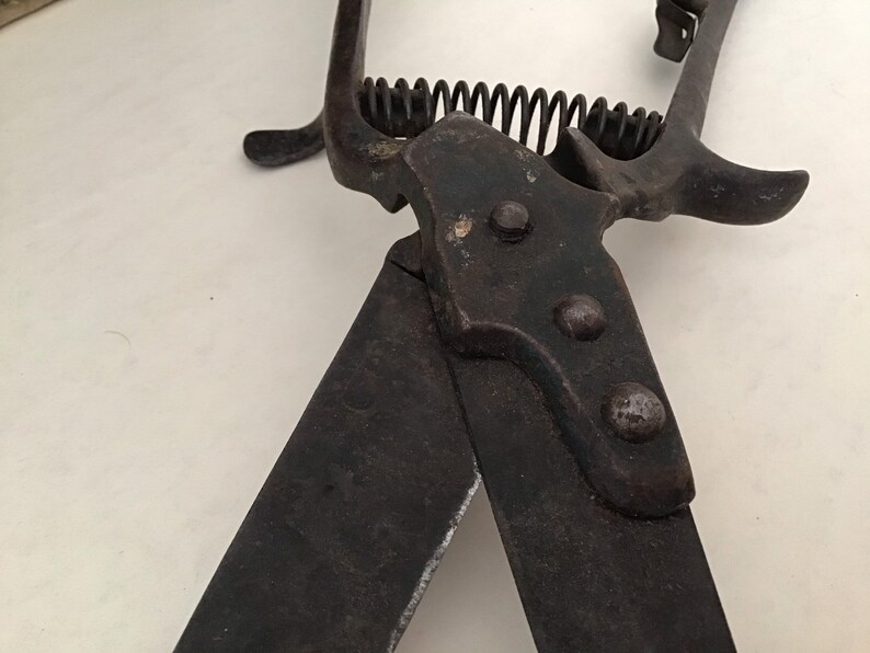 Vintage Lawn Grass Trimmer Clippers Garden Tool - Etsy