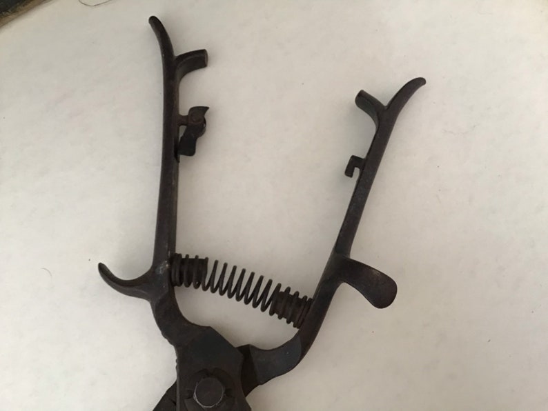 Vintage Lawn Grass Trimmer Clippers Garden Tool - Etsy
