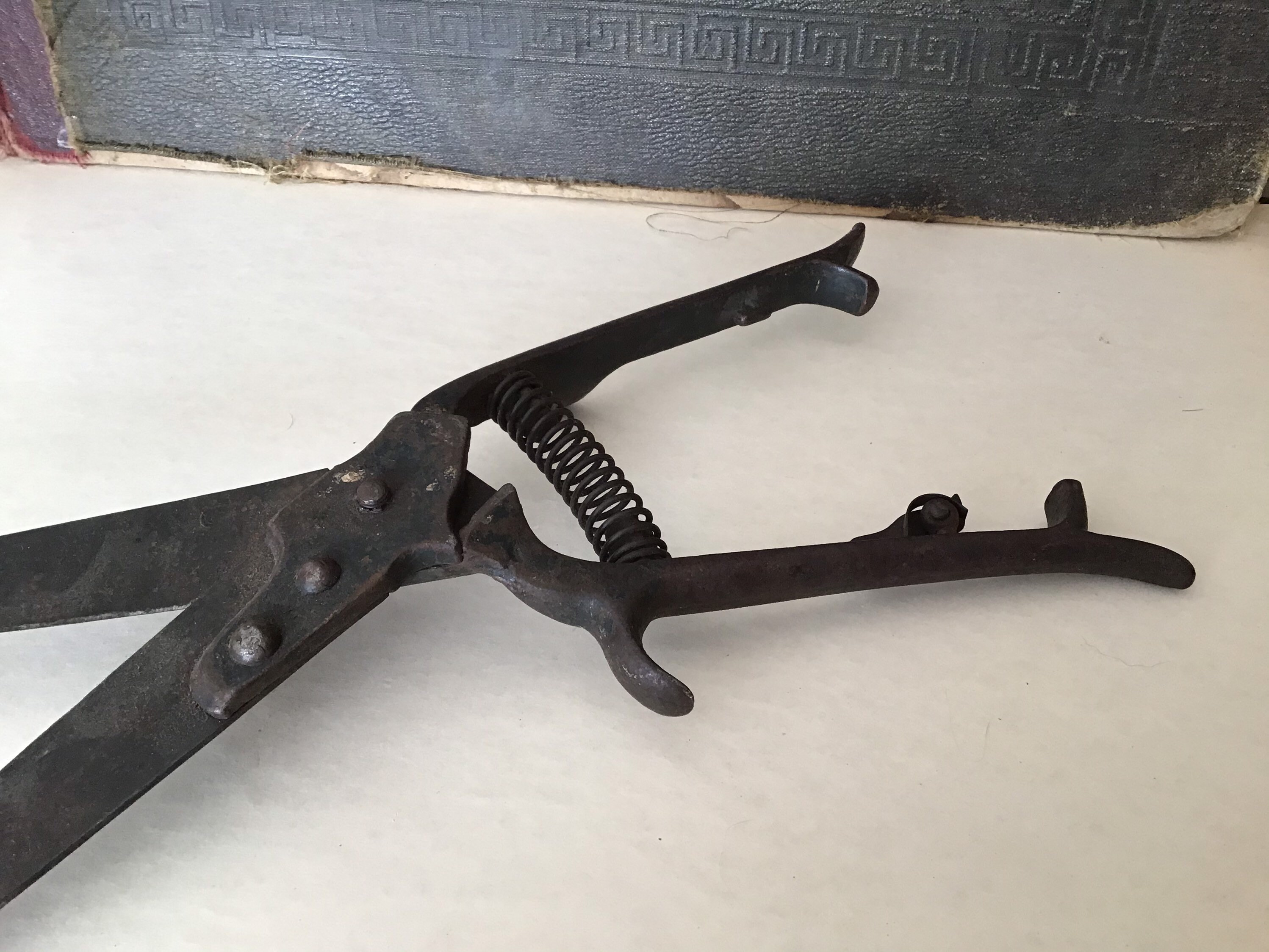 Vintage Lawn Grass Trimmer Clippers Garden Tool - Etsy