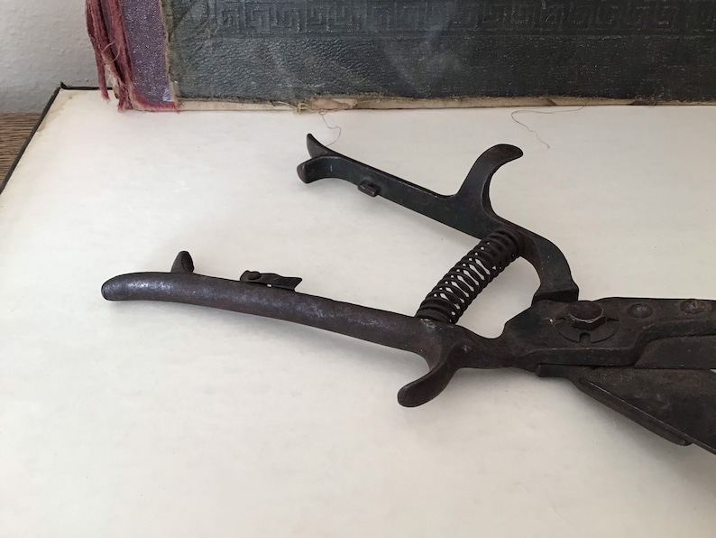 Vintage Lawn Grass Trimmer Clippers Garden Tool - Etsy