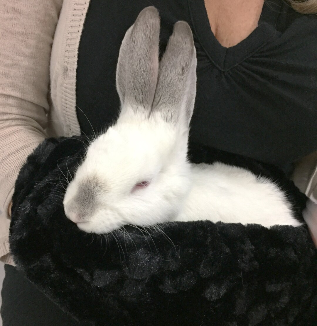 Luxury Faux Fur Snuggle Sack, Hidey Hole, Animal Carrier, Snuggle Pouch ...