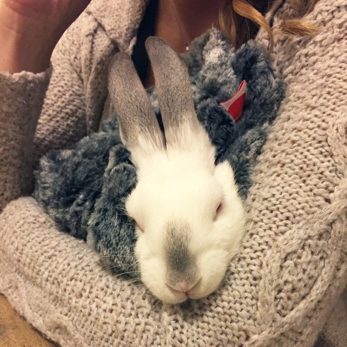 Luxury Faux Fur Snuggle Sack Hidey Hole Animal Carrier - Etsy